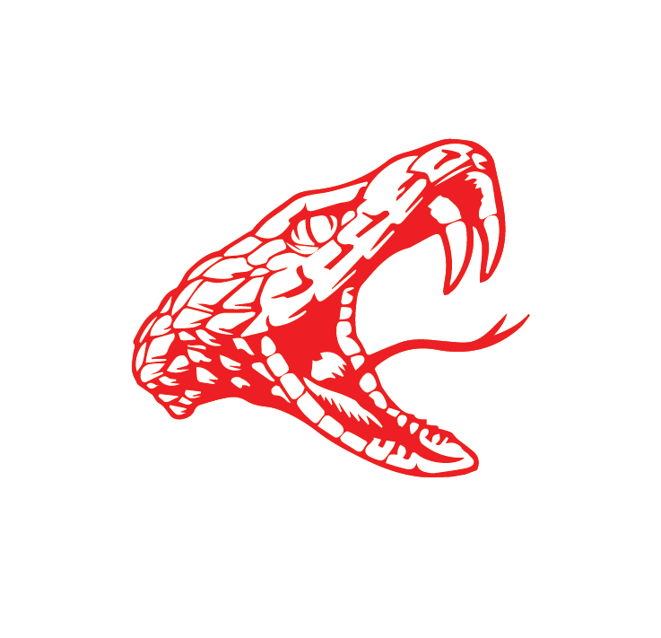 RGC Rattlers – The Print locker